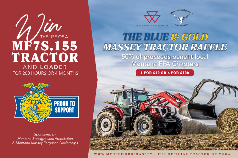 2025 Blue and Gold Massey Ferguson Tractor Raffle | Raffle Creator