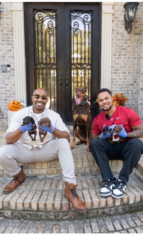 Knox Puppies 2024 | Raffle Creator